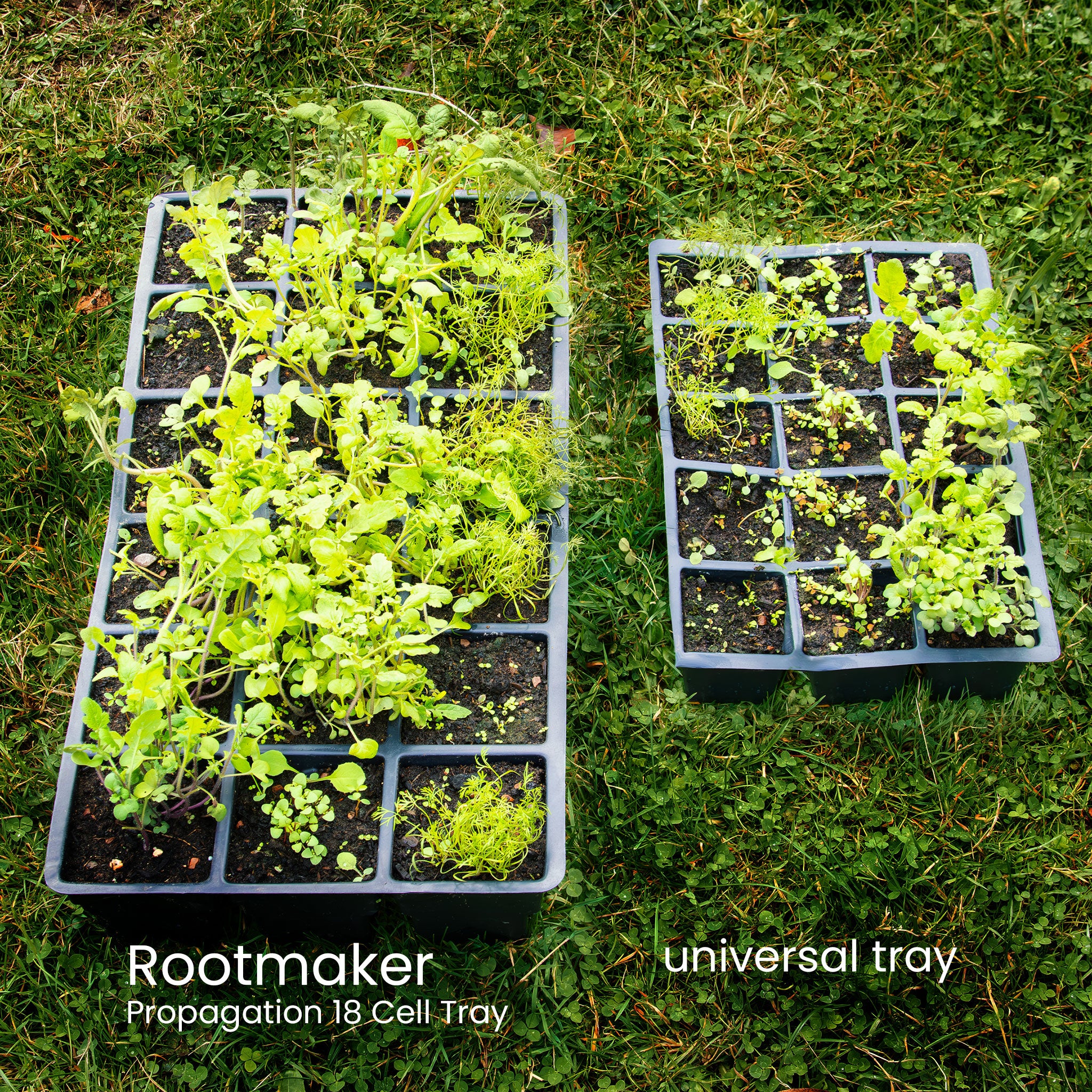 Rootmaker Propagation 18 Cell Tray – Roamwild